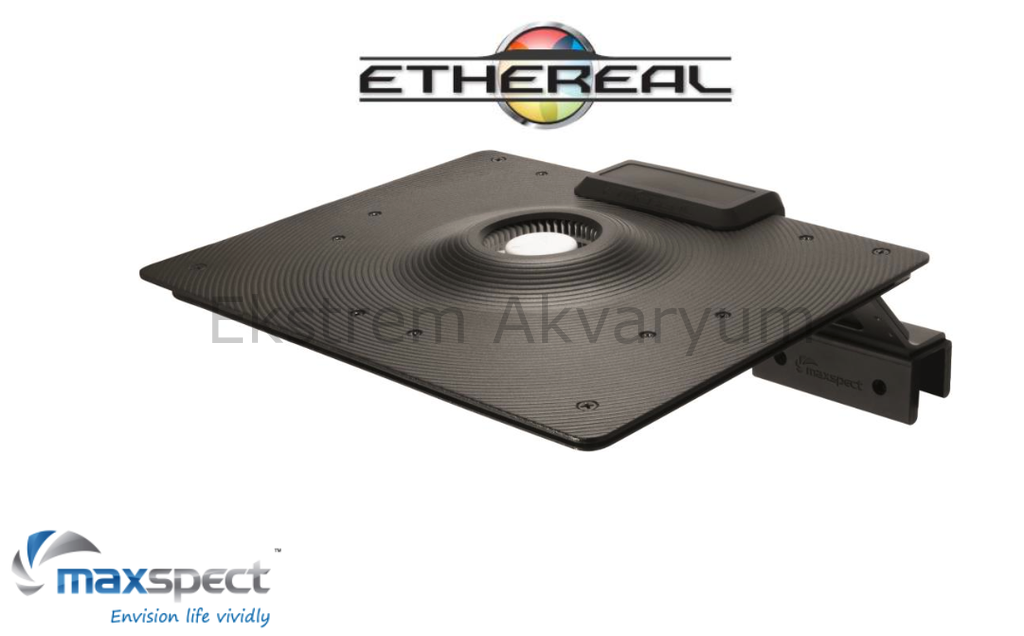 Maxspect - Ethereal | Reef Akvaryum